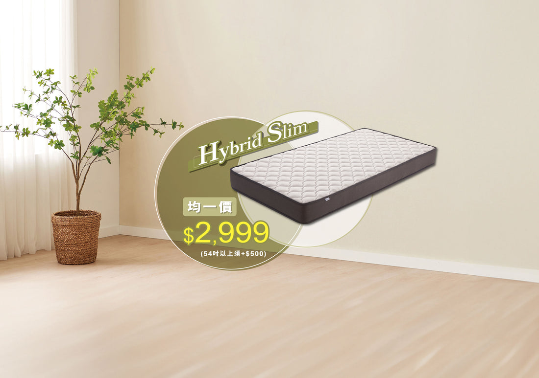 SINOMAX Official E-Shop | Innovation For Sleep