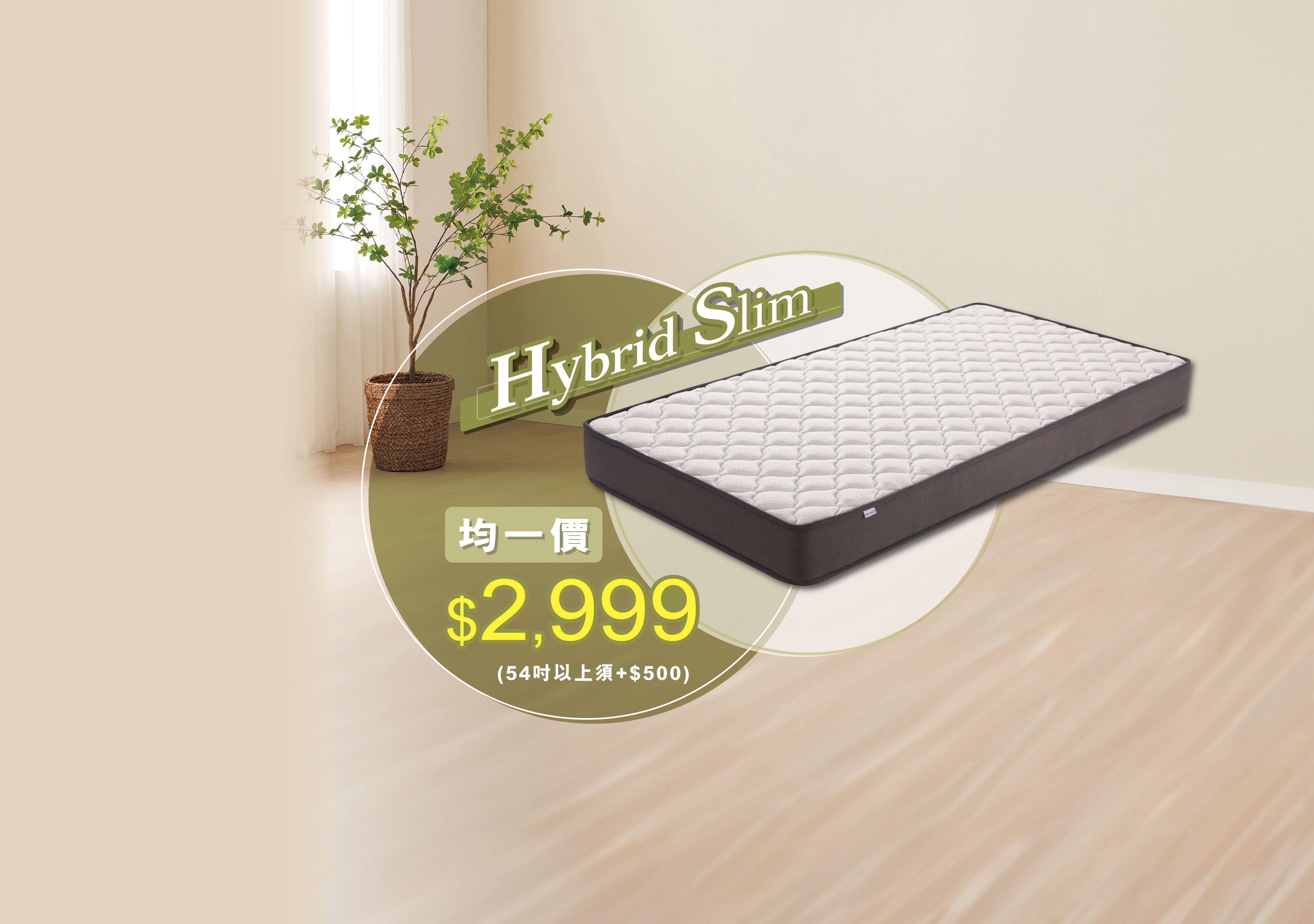 SINOMAX Official E-Shop | Innovation For Sleep